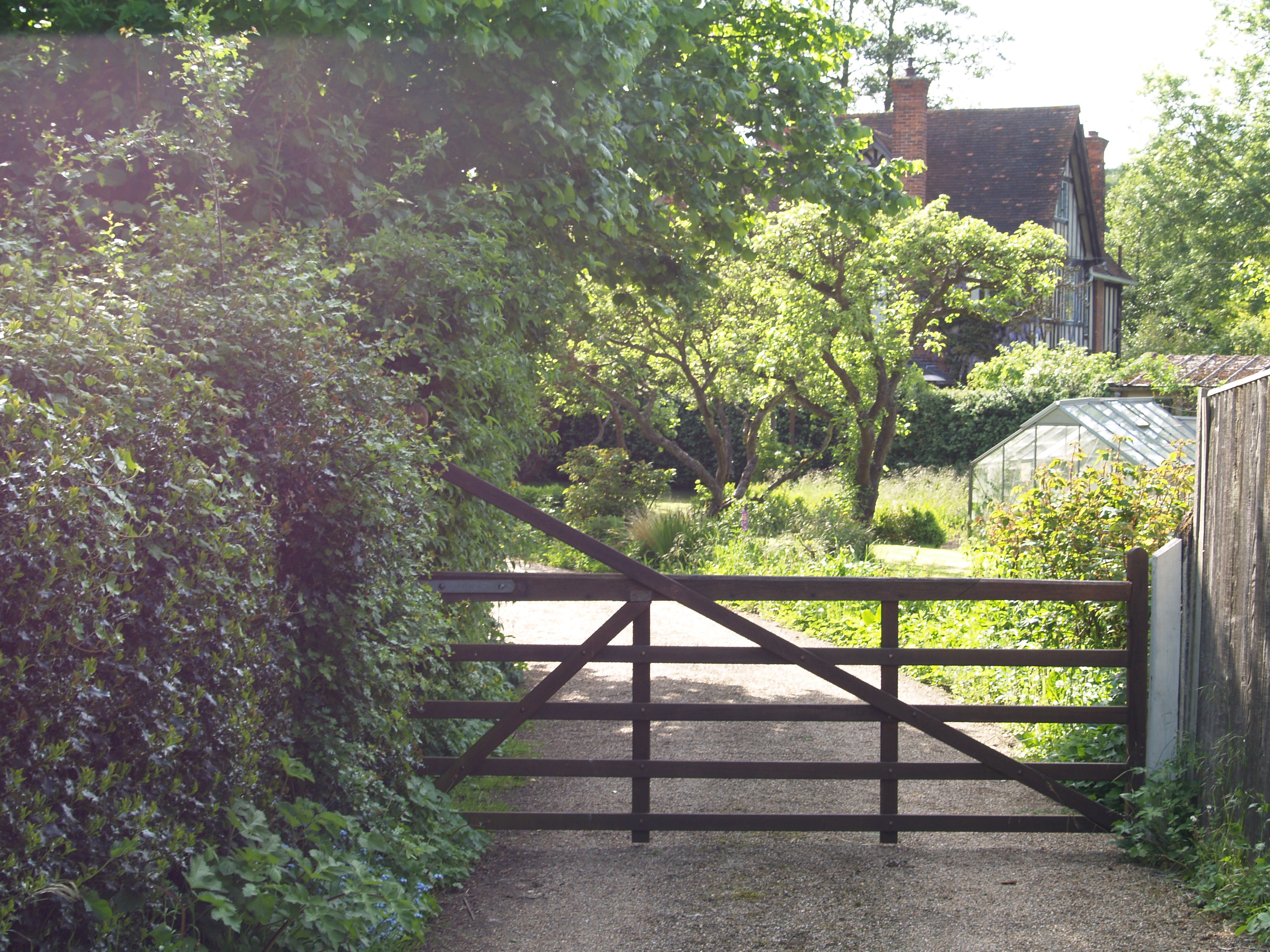 ABOUT – Little Mote Studio