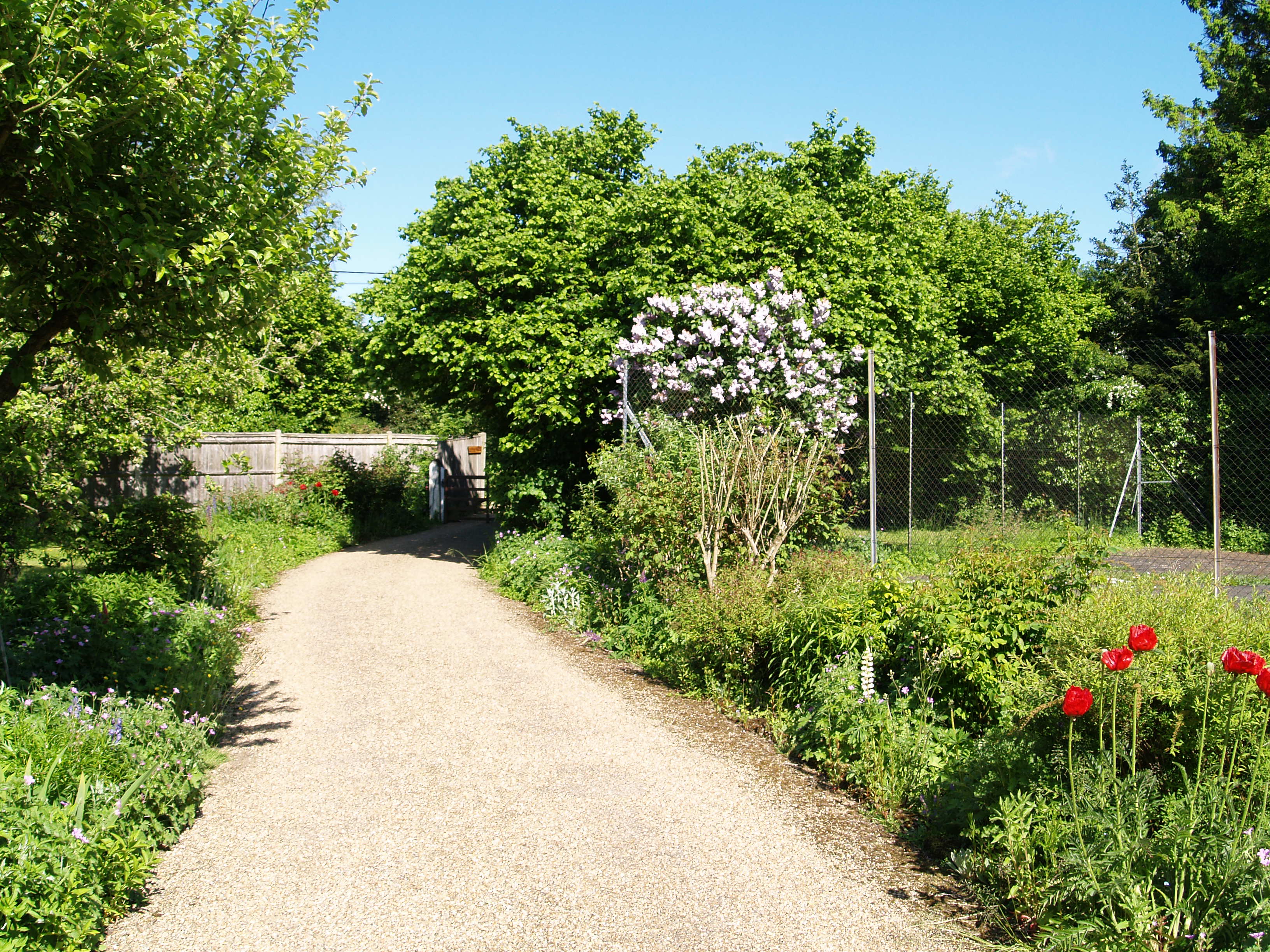 ABOUT – Little Mote Studio